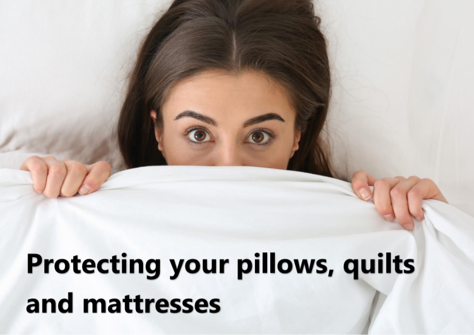 Micro Fresh Pillow Protectors – Mayfair Australia