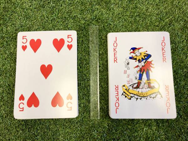 Monster Playing Cards – Mayfair Australia